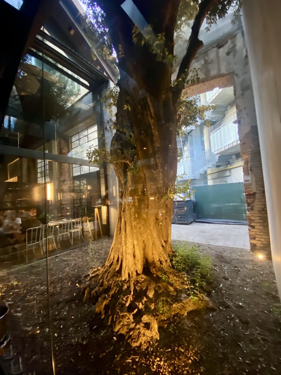 Italie - Milan - Cocktail bar Moebius - Passion Gastronomie